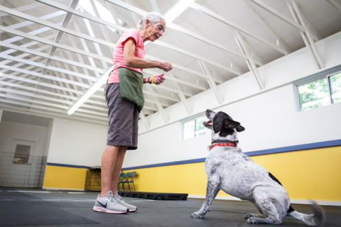 Private Lessons | Paws4ever