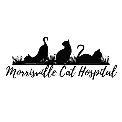 Morrisville Cat Hospital Logo 2022 Black and White | Paws4ever