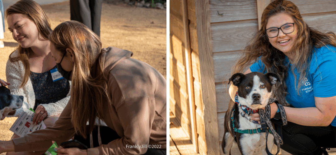 brunch photos (1) | Paws4ever