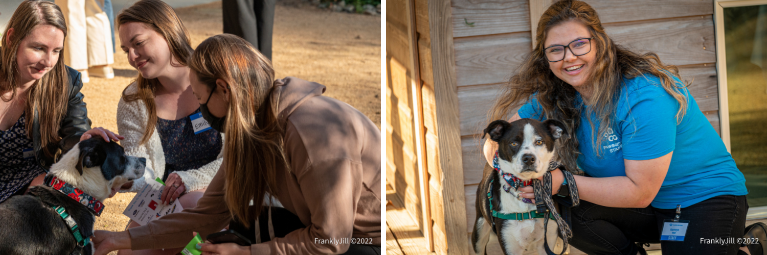 brunch photos (1) | Paws4ever