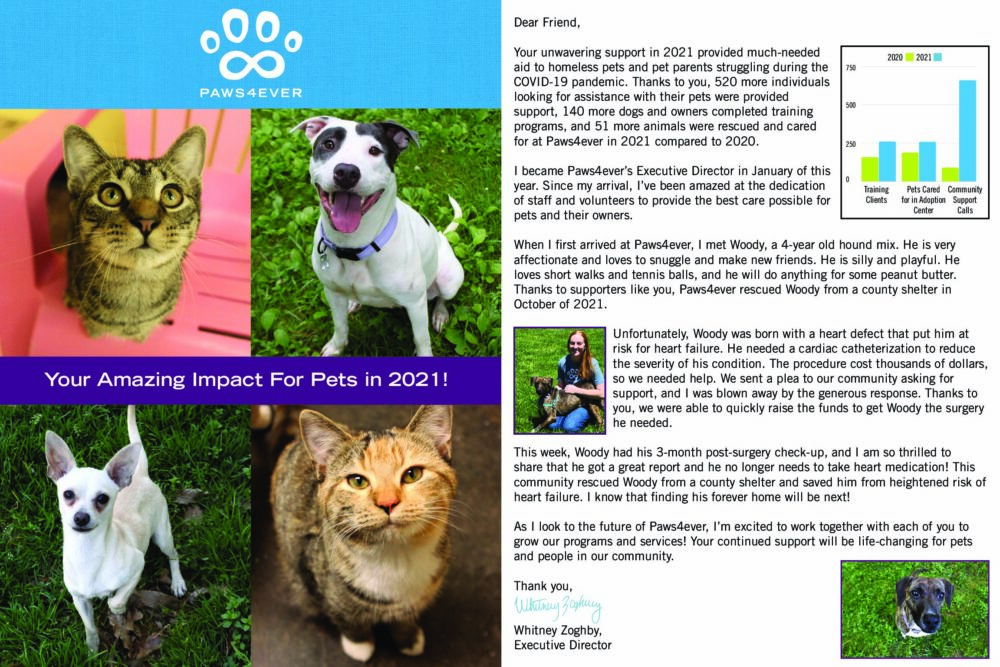 2021 Impact Report | Paws4ever