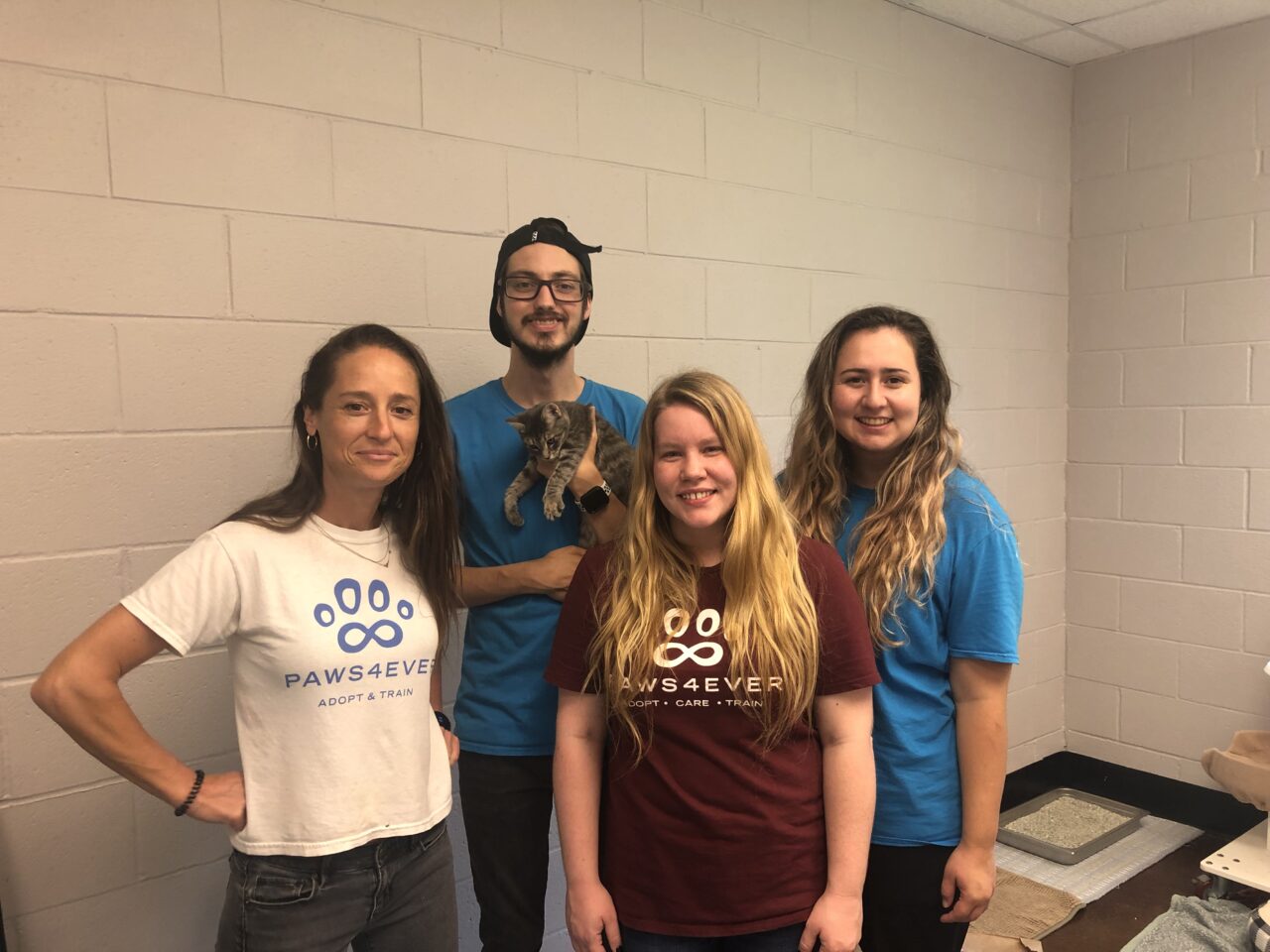 Contact Us | Paws4ever