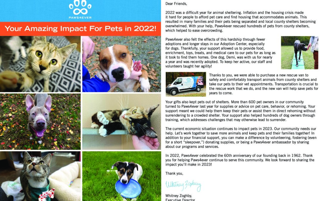 Paws4ever 2022 impact report | Paws4ever