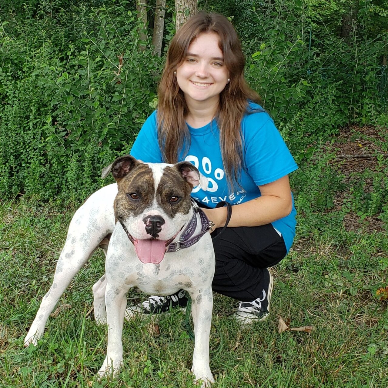 Staff and Board | Paws4ever