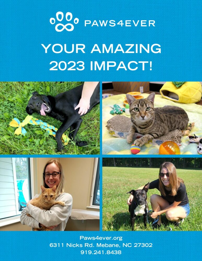 Impact Report 2023 | Paws4ever