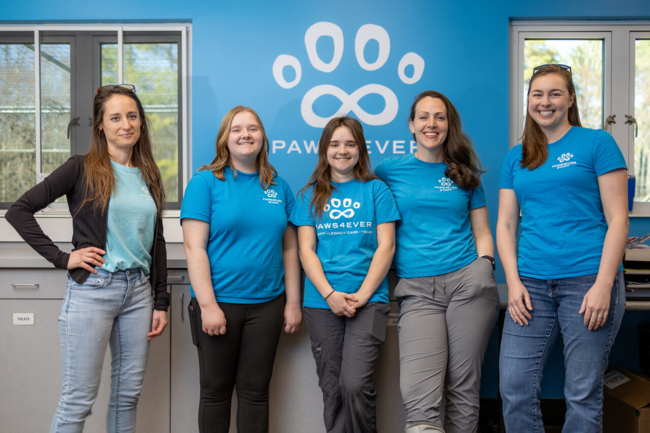 Contact Us | Paws4ever