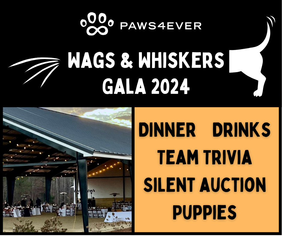 Wags & Whiskers Celebration | Paws4ever