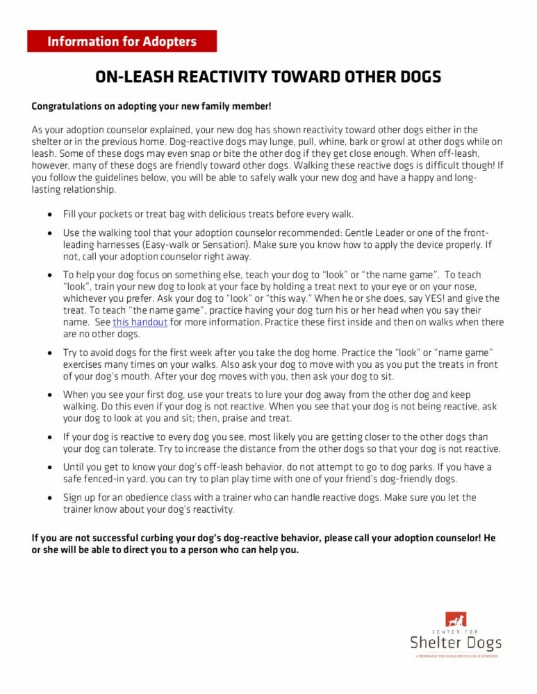 CSD-SA-Handout-DOG-REACTIVITY | Paws4ever