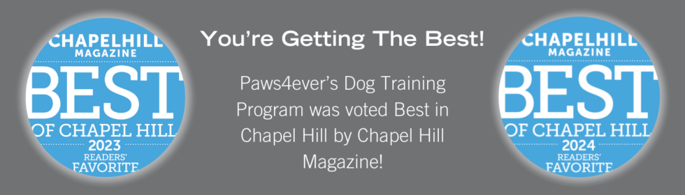 Train | Paws4ever