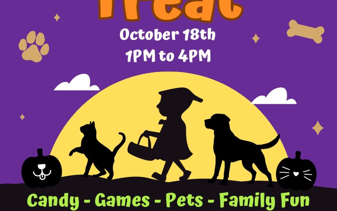 Trunk or Treat 2025 P4E | Paws4ever